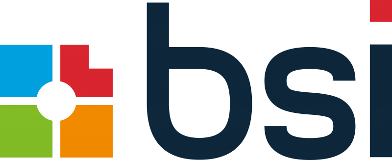 BSI – Informatique professionnelle